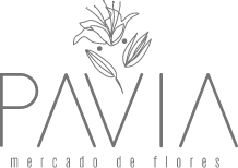 Pavia Flowers - Fresh Flowers Bouquets Delivery USA